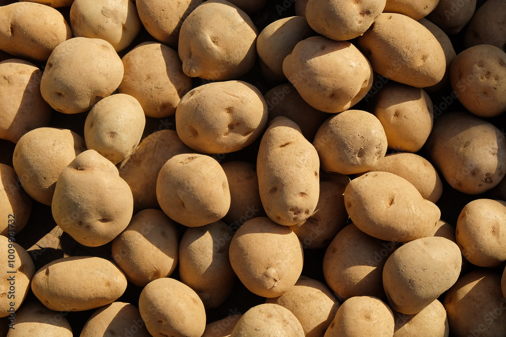 Abstract shapes, patterns and textures of piles of brown potatoes.Piles ...