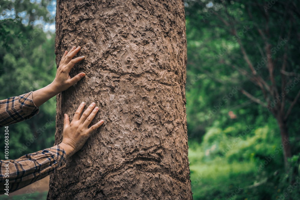 A male hand hugs a tree, symbolizing love for nature and the ...
