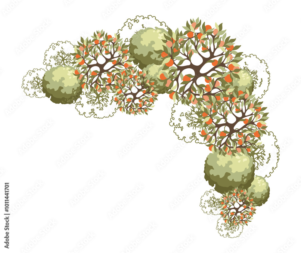 Orange Tree for architectural floor plans. Top view element. Entourage ...