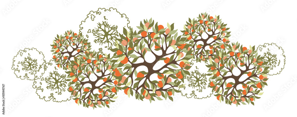 Orange Tree for architectural floor plans. Top view element. Entourage ...