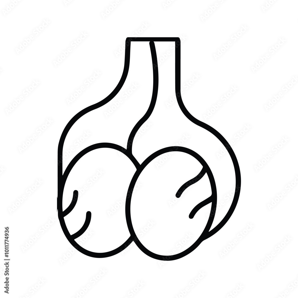 Testicle Icon. Anatomy of male reproductive organs. Anatomy of the ...