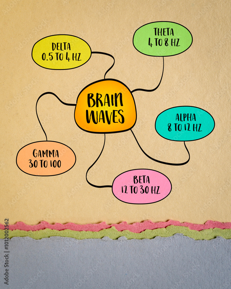 Brain waves are electrical impulses in the brain that reflect various ...