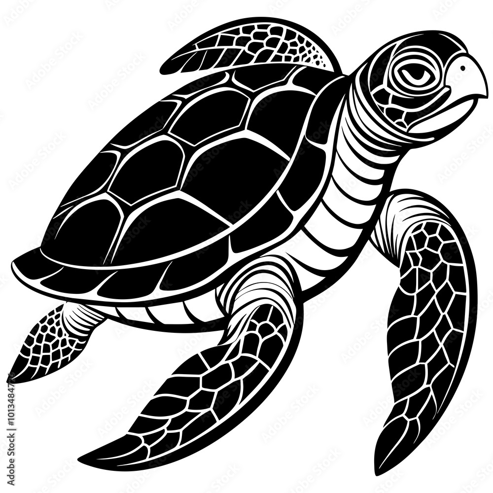 Turtle silhouette vector illustration with a detailed shell and hinged ...