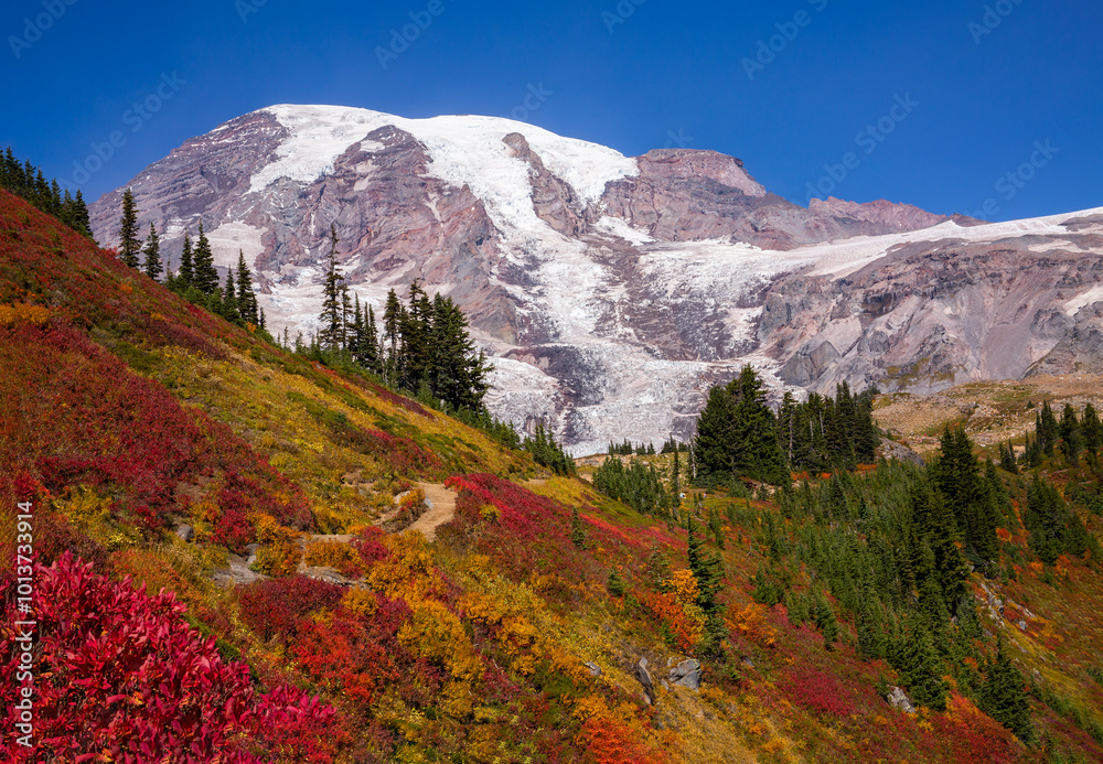 One of many hiking trails surrounded by stunning fall foliage at Mt ...