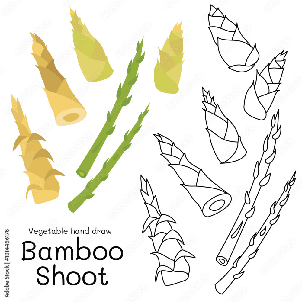 Bamboo Shoot doodle vegetable hand drawn outline and colors for kid ...