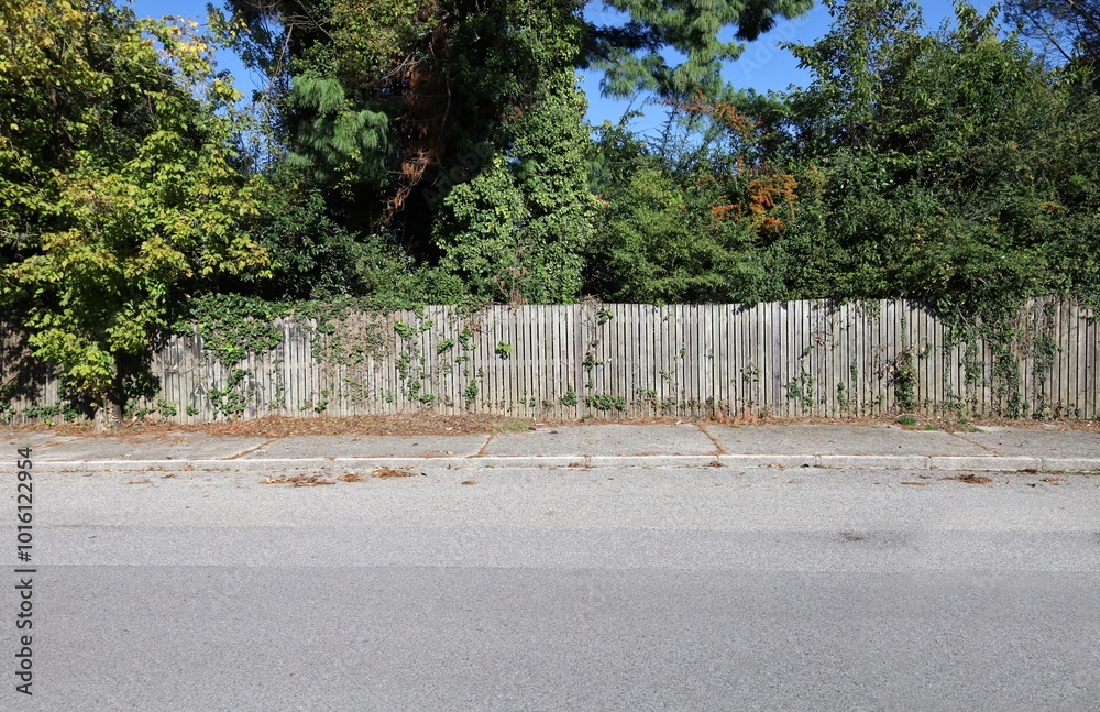 Wooden fence surrounding a public park. Trees and plants on behind ...