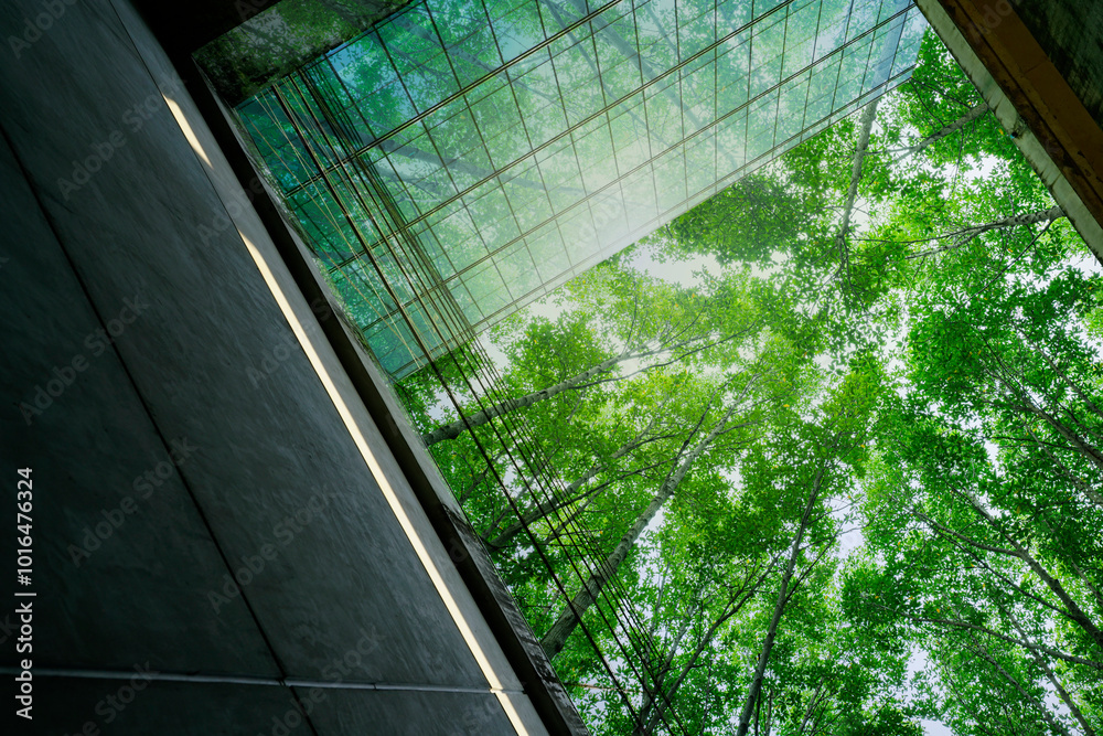 Eco-friendly building in modern city. Sustainable glass office building ...