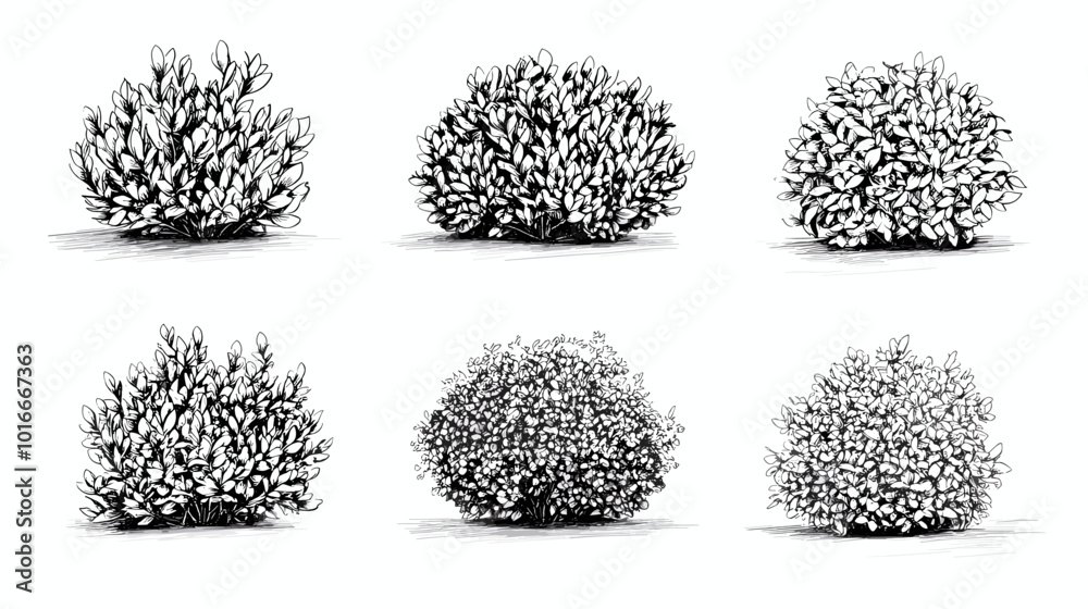 Set of vector bush illustrations on a white background. Architectural ...
