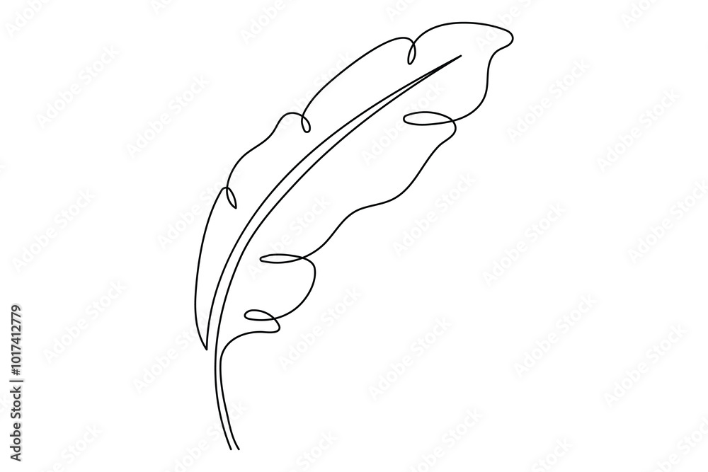 continuous one line drawing of Bird feather Isolated on white ...