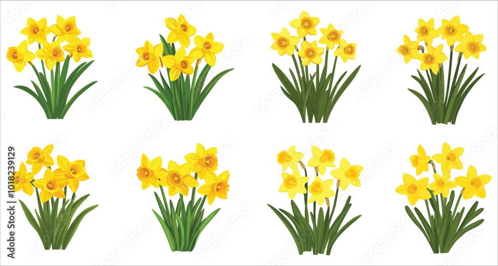 Collection of daffodil flower vectors, Elegant daffodil flower vector ...
