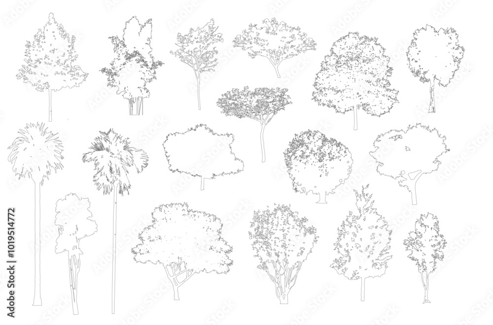 Vector de Stock Minimal style cad tree line drawing, Side view, set of graphics trees elements ...