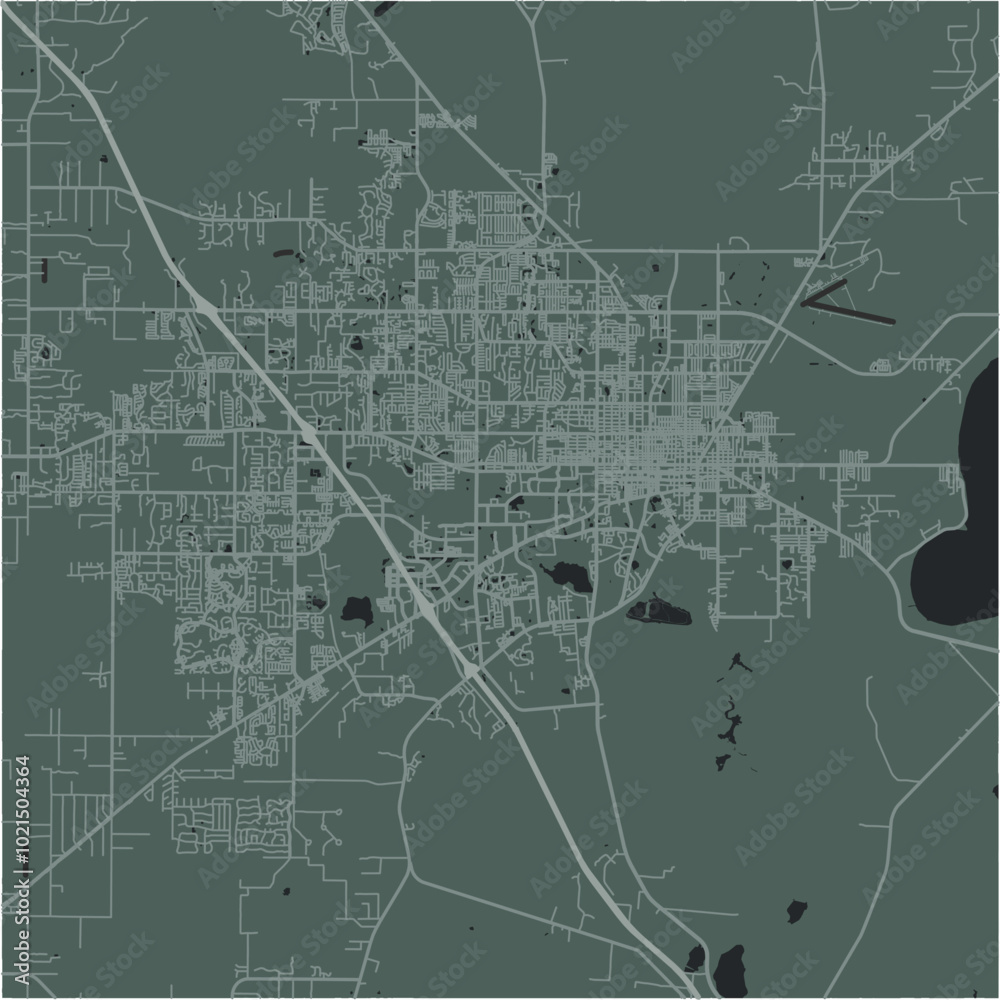 Map of Gainesville in Florida in a smooth dark style. Contains layered vector with roads water ...