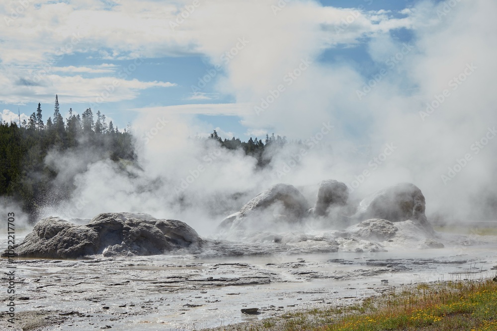 Yellowstone's Upper Geyser Basin, home to Old Faithful and more Stock ...