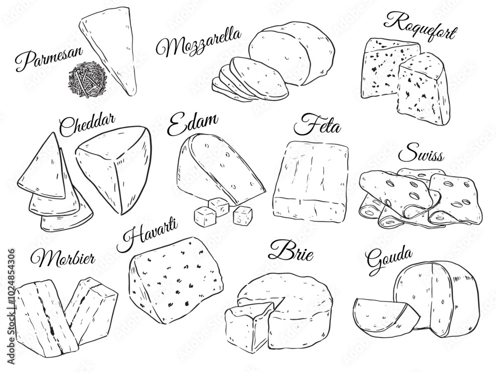 Collection of various kind of cheese hand drawn outline drawing vector ...