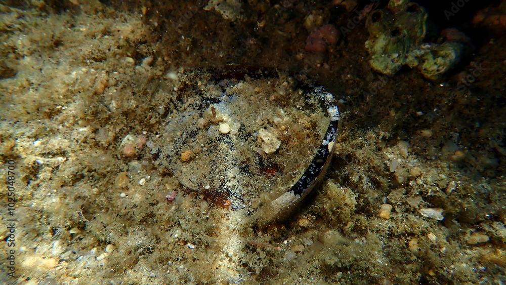 Broken bottom of a glass bottle undersea, Aegean Sea, Greece, Halkidiki ...