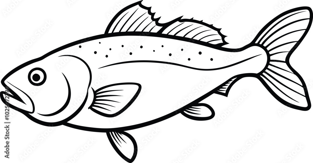Detailed Atlantic Cod Fish vector illustration. Perfect for culinary ...