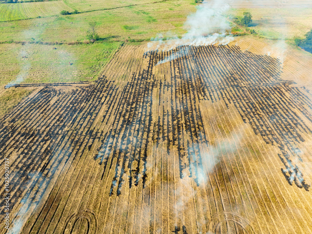 Climate change, Agriculture burning release carbon dioxide (CO2 ...