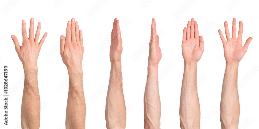 Male straight arm from different angles isolated on transparent ...