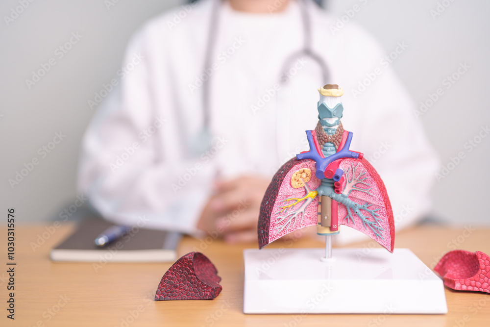 Doctor with Smoker and normal Lung anatomy for Disease. Lung Cancer ...