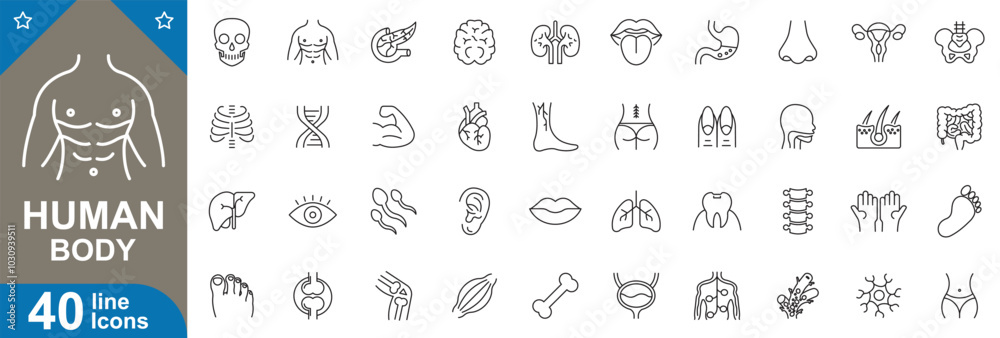 Human body outline icons set. Head, brain, heart, eyes, mouth, nose ...