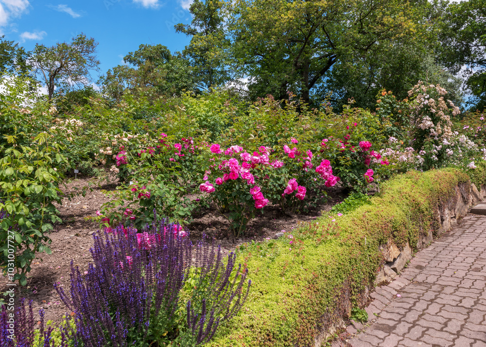 Exhibition areas are used to preserve and carefully care for historical ...