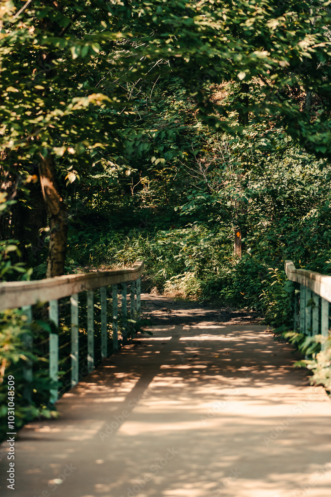Cowles Bog Trail at Indiana Dunes National Park Stock Photo | Adobe Stock