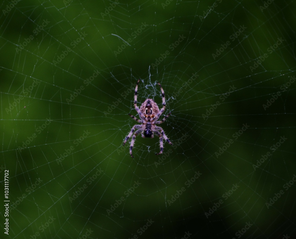 This photograph was taken on 2nd October 2024 on the street in north ...
