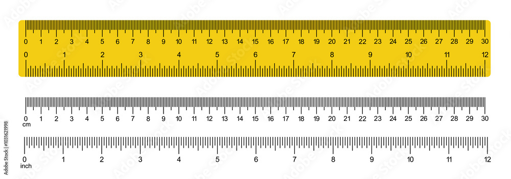 Measuring tool. School supplies. Measuring charts with 30 centimeters ...