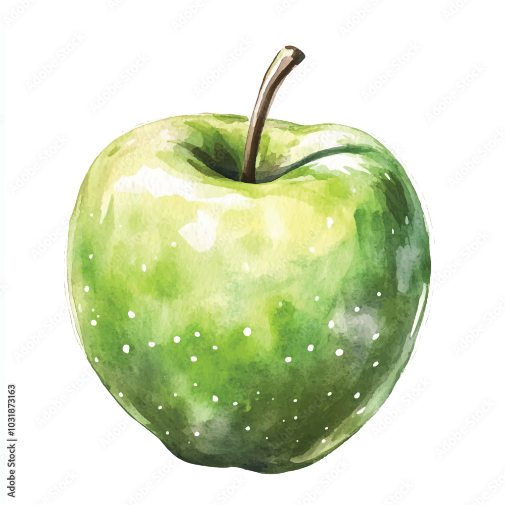 Apple fruit watercolor clipart illustration Stock Vector | Adobe Stock