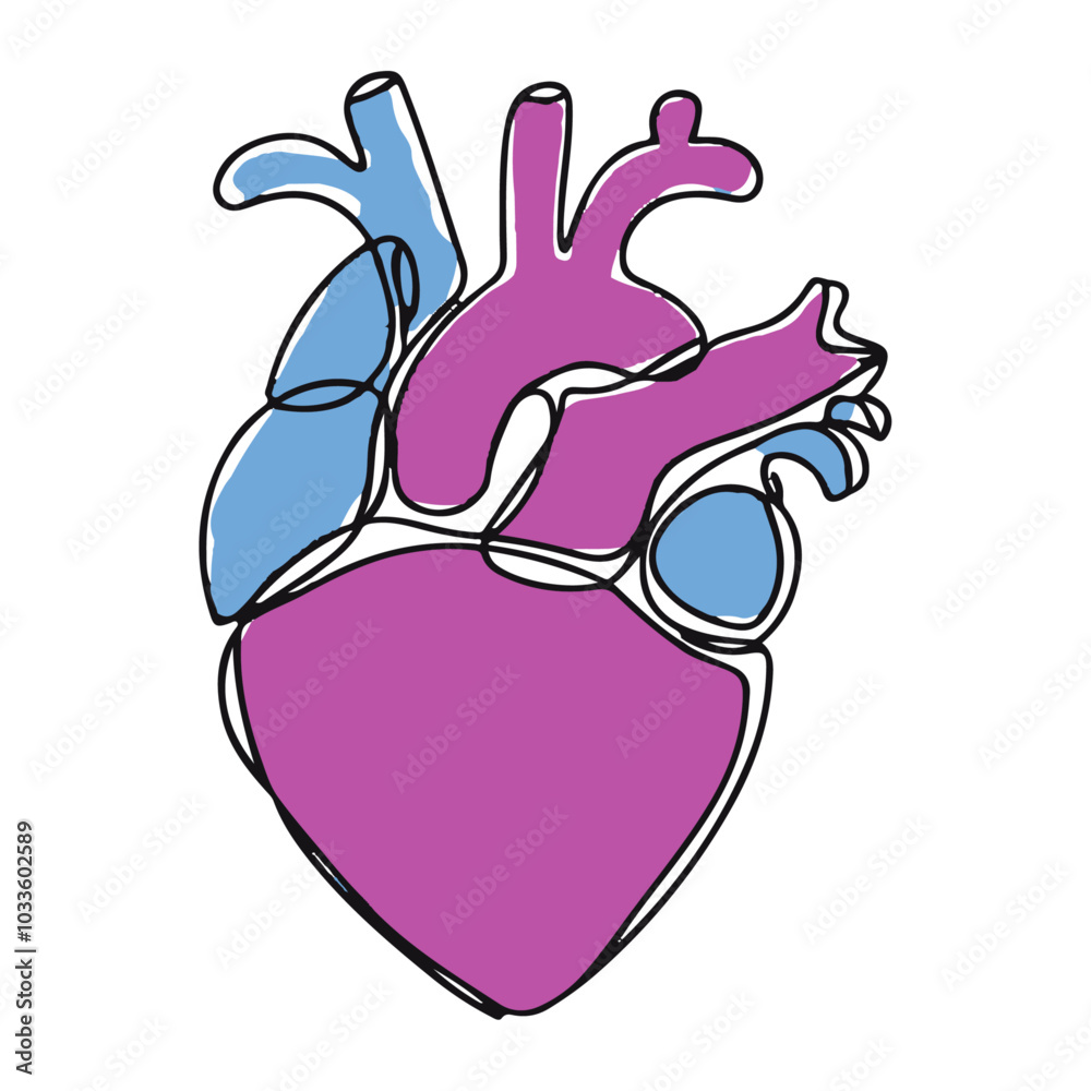 anatomy Heart line art set, hand drawn love symbols, isolated vector ...