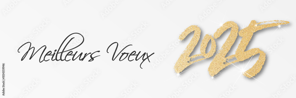 Bonne année - meilleurs vœux 2025 - vecteur pour affiche, bannière ...