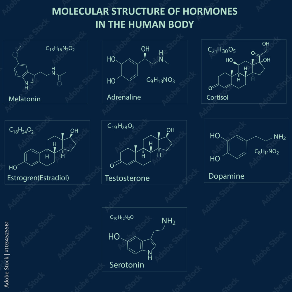 chemical molecular structure of hormones in the human body vector set ...