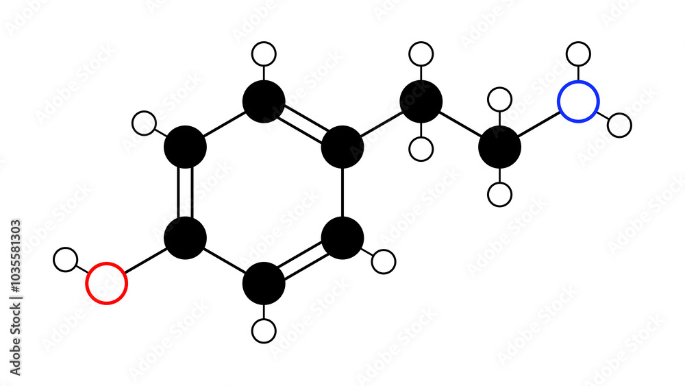 tyramine molecule, structural chemical formula, ball-and-stick model ...