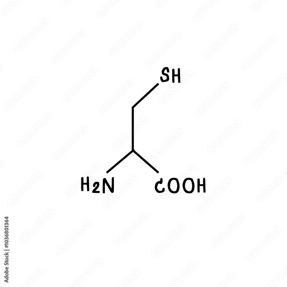 chemical structure of Cysteine illustration Stock Vector | Adobe Stock