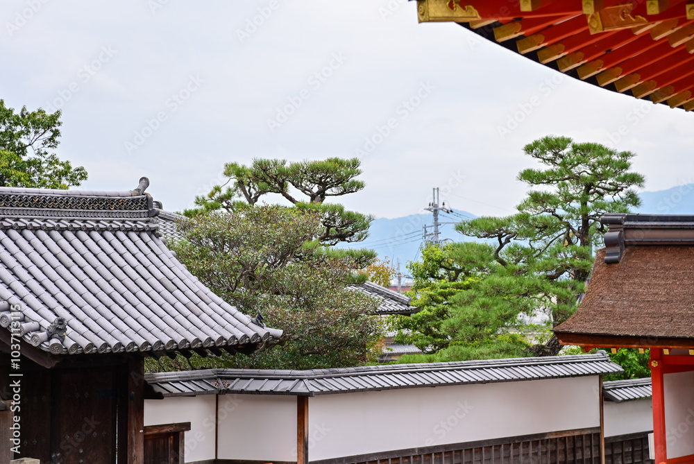 The nature view from Fushimi Inari Taisha(Fushimi Inari Shrine) in ...