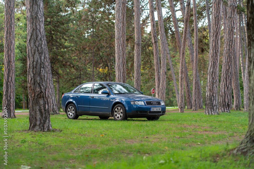 Blue Audi A4 B6 parked at forest. Mid-size car A4 produced from 2000 to ...