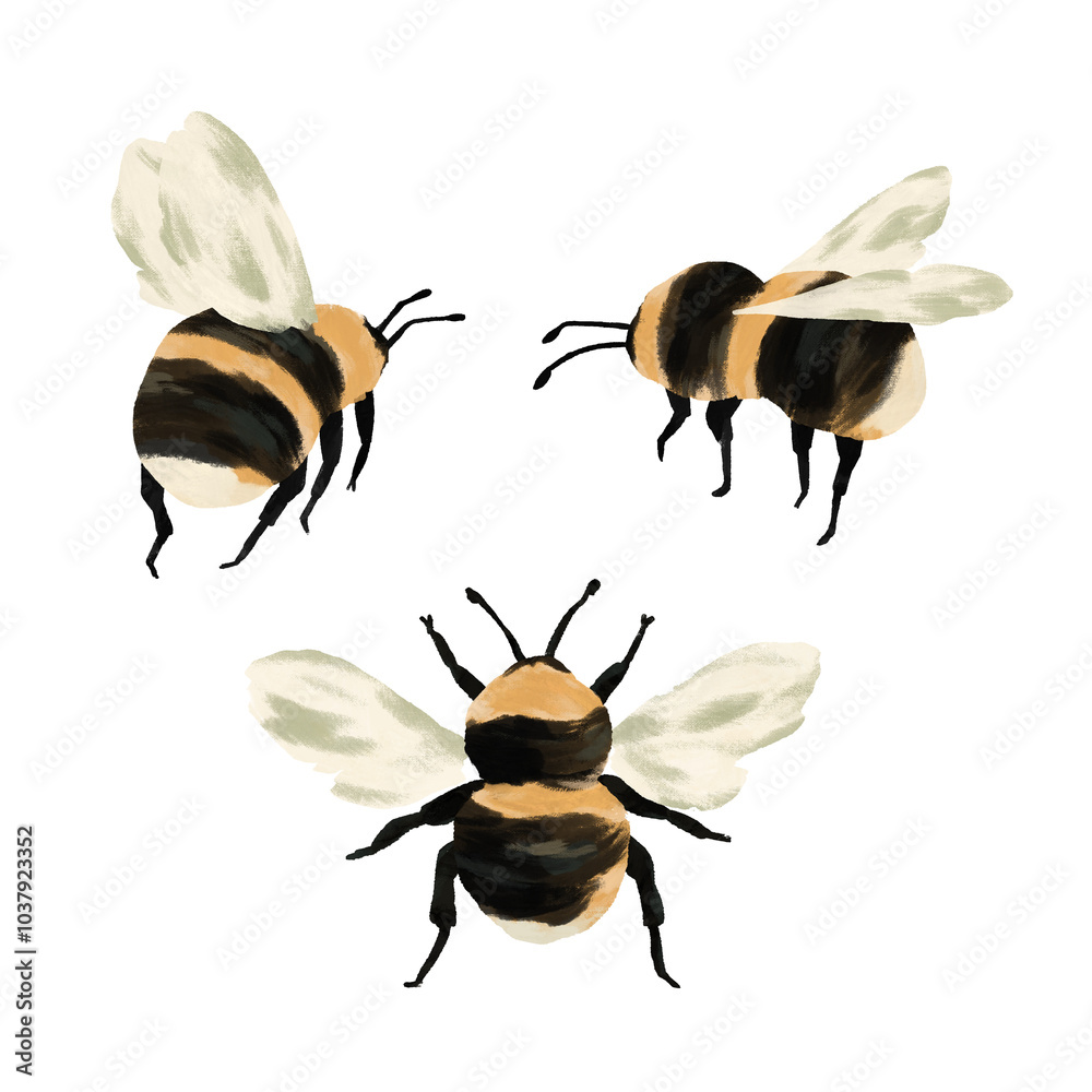 Hand-painted bumblebee illustration set with transparent background ...