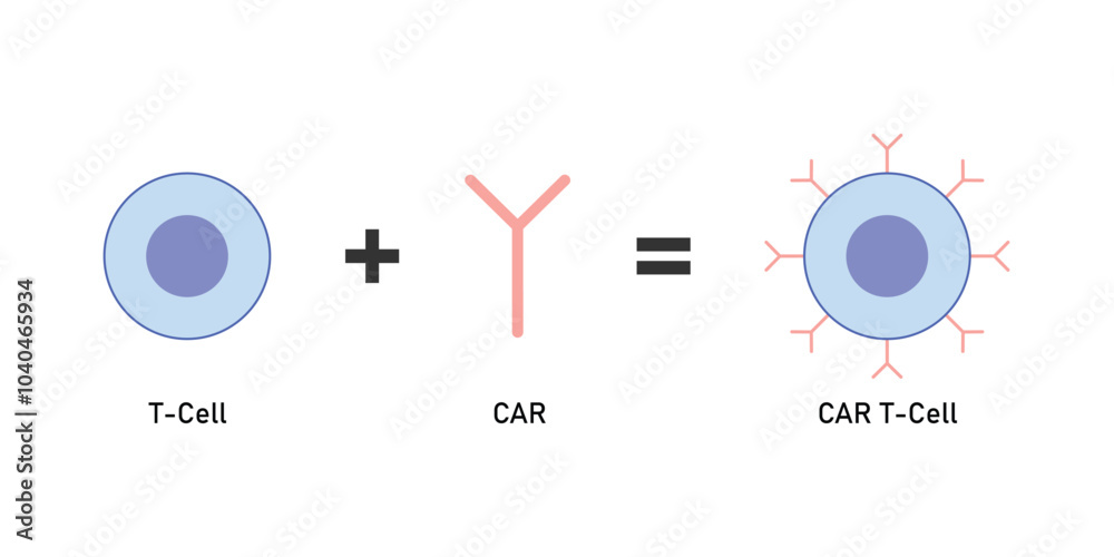 CAR T-cell Therapy Scientific Design. Vector Illustration. Stock Vector ...