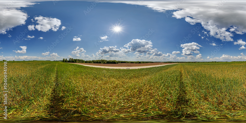 spherical 360 hdri panorama among green farming field with clouds on ...