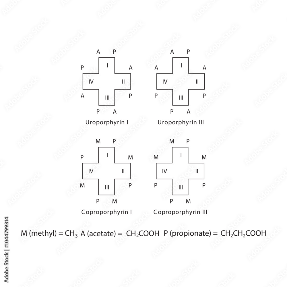 Diagram of Uroporphyrin and Coproporphyrin molecules chemical molecular ...