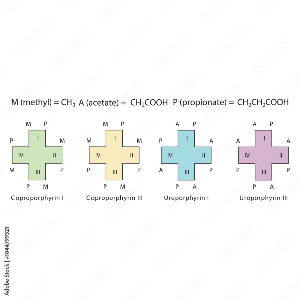 Diagram of Uroporphyrin and Coproporphyrin molecules chemical molecular ...