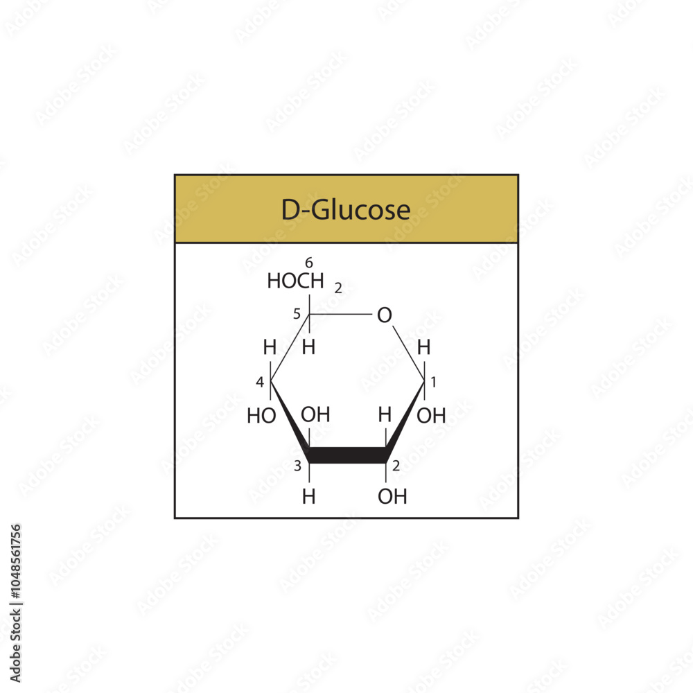 D-Glucose (Haworth projection) skeletal structure diagram.Sugar ...
