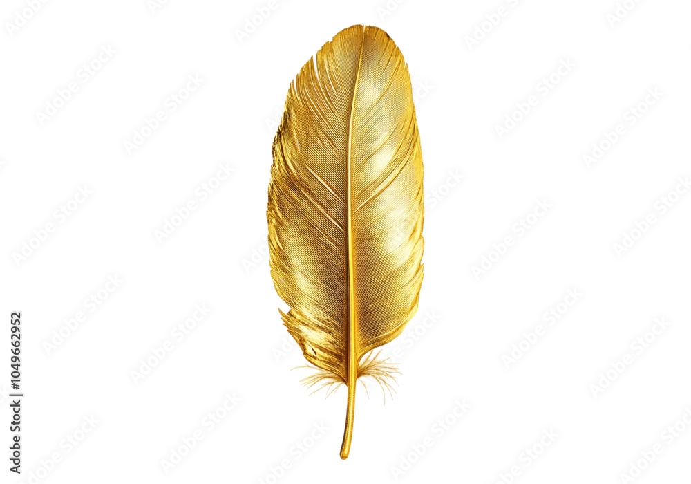 Photo of golden feather .Transparent background. Isolated PNG. Stock ...