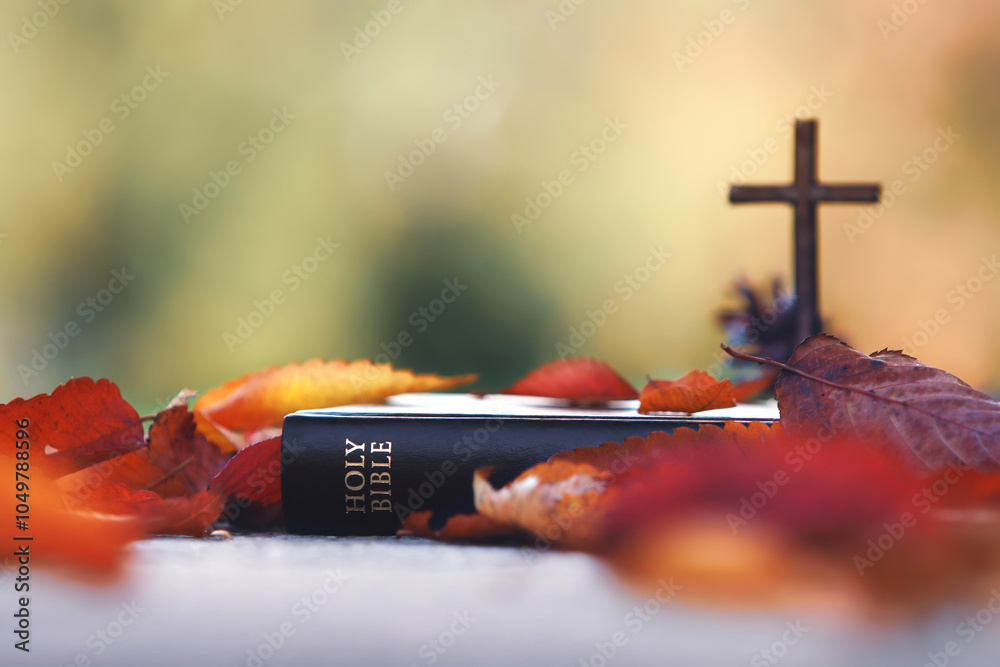 Red maple leaves and autumn fallen leaves, holy cross of Jesus Christ ...