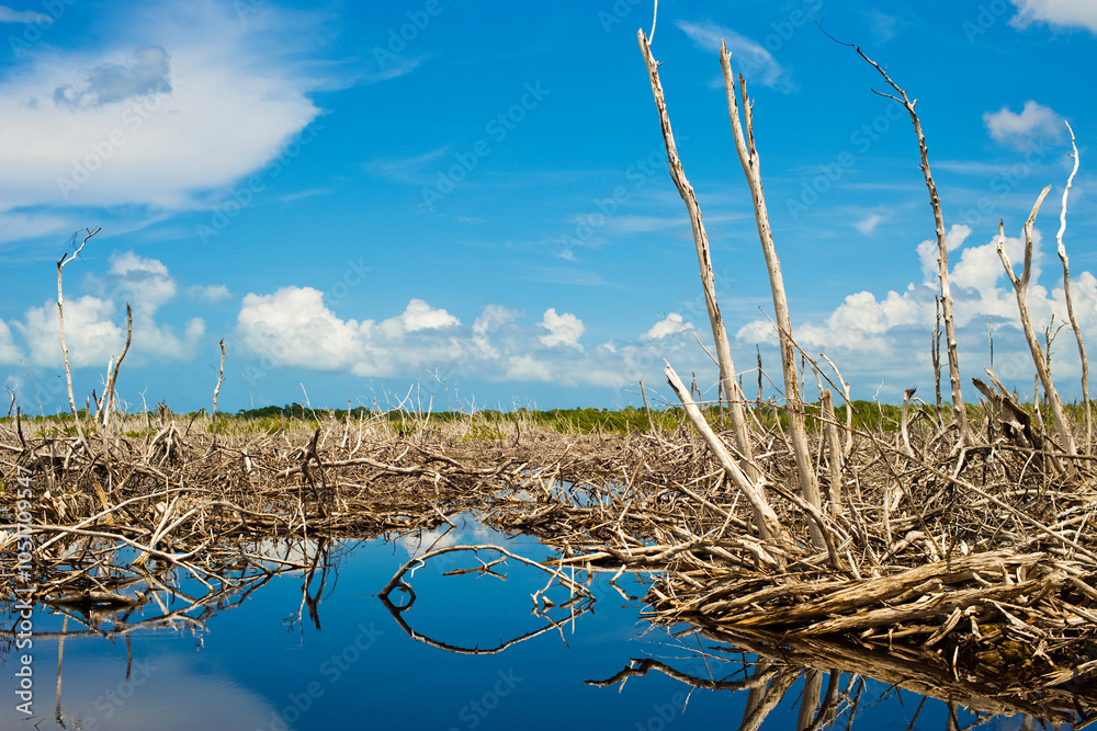 Inland lagoon, Cabo San Antonio, Guanahacabibes Peninsula National Park ...