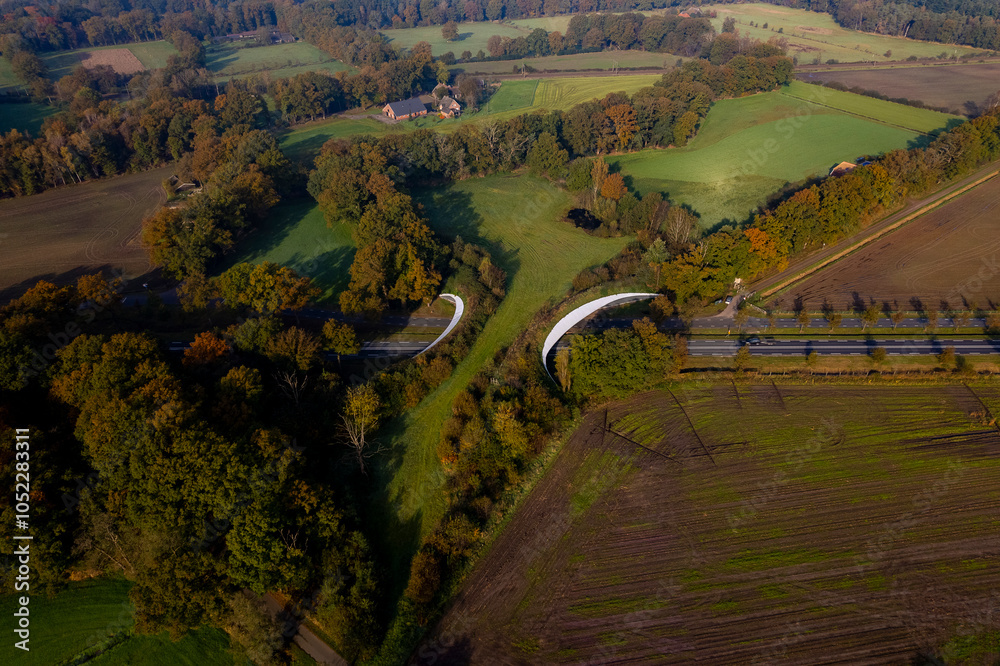 Road passing underneath ecoduct Grimberg wildlife crossing forming a ...