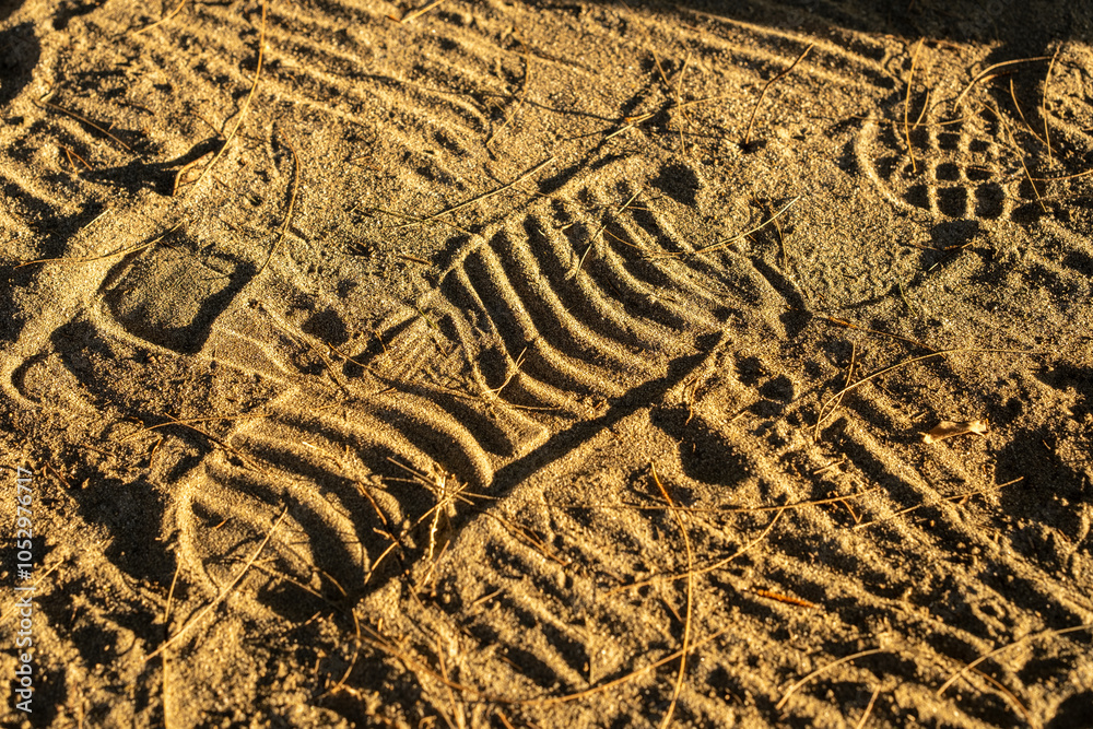 Footprints and shoe treads imprinted in sandy soil, captured under warm ...