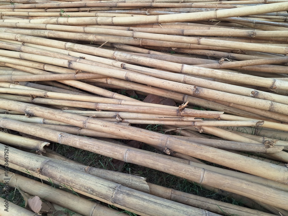 Stacked dry bamboo poles for construction projects, showing bamboo ...