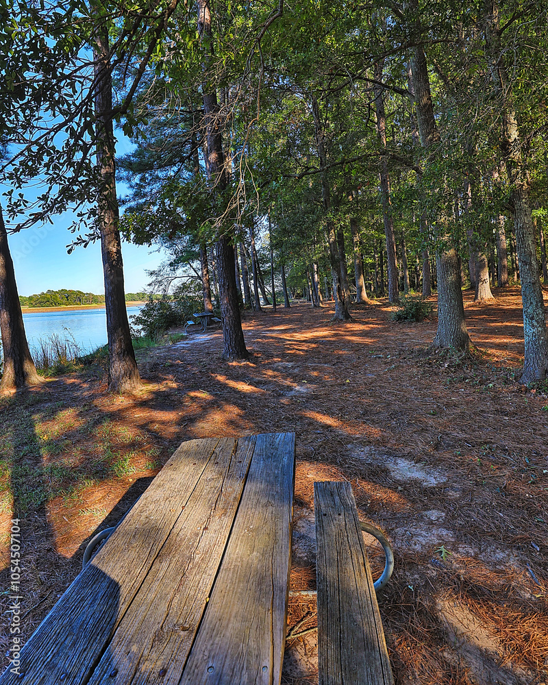 Martin Creek Lake State Park outside Tatum, Texas is the place for lots ...