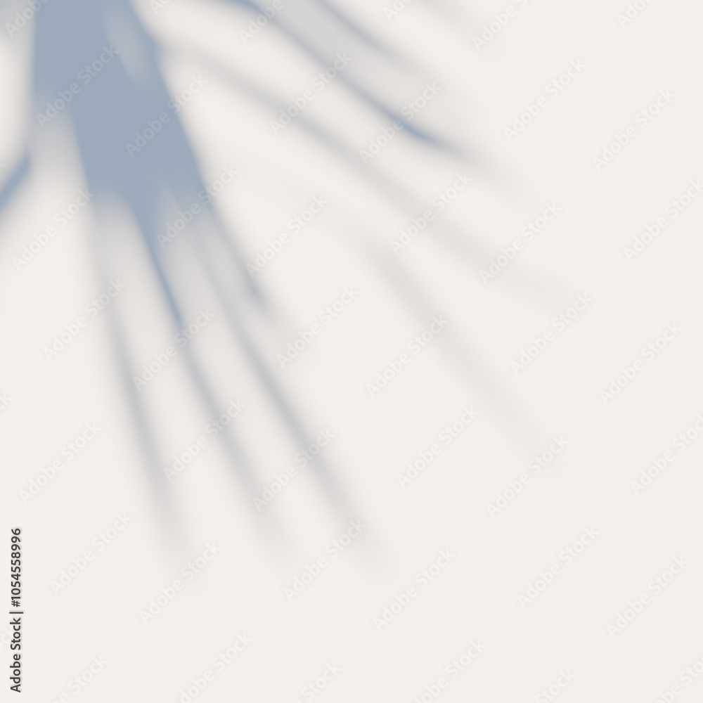 Gobo shadows of Palm tree leaves on a plain background, 4k UHD square 1 ...